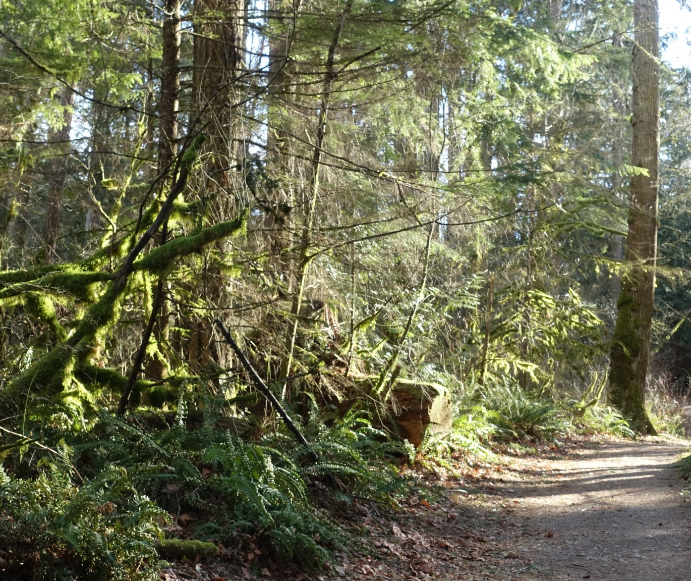 Hiking at Nolte State Park… – Cats and Trails and Garden Tales