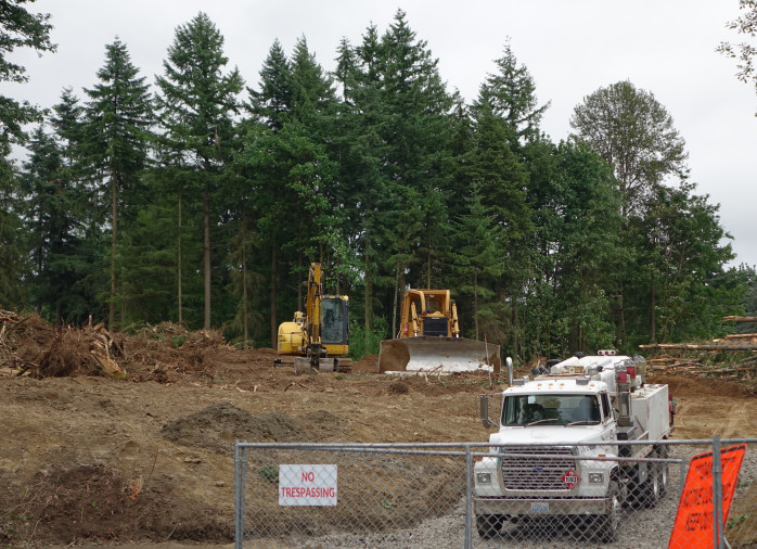 Urban Logging – Cats and Trails and Garden Tales