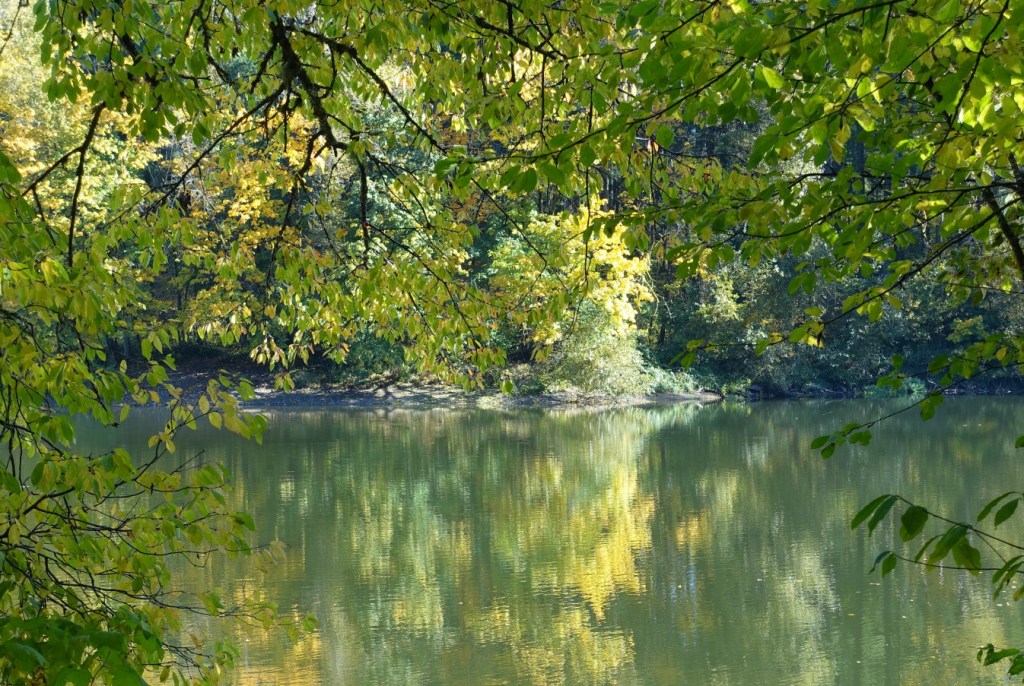 Nolte State Park in Color – Cats and Trails and Garden Tales