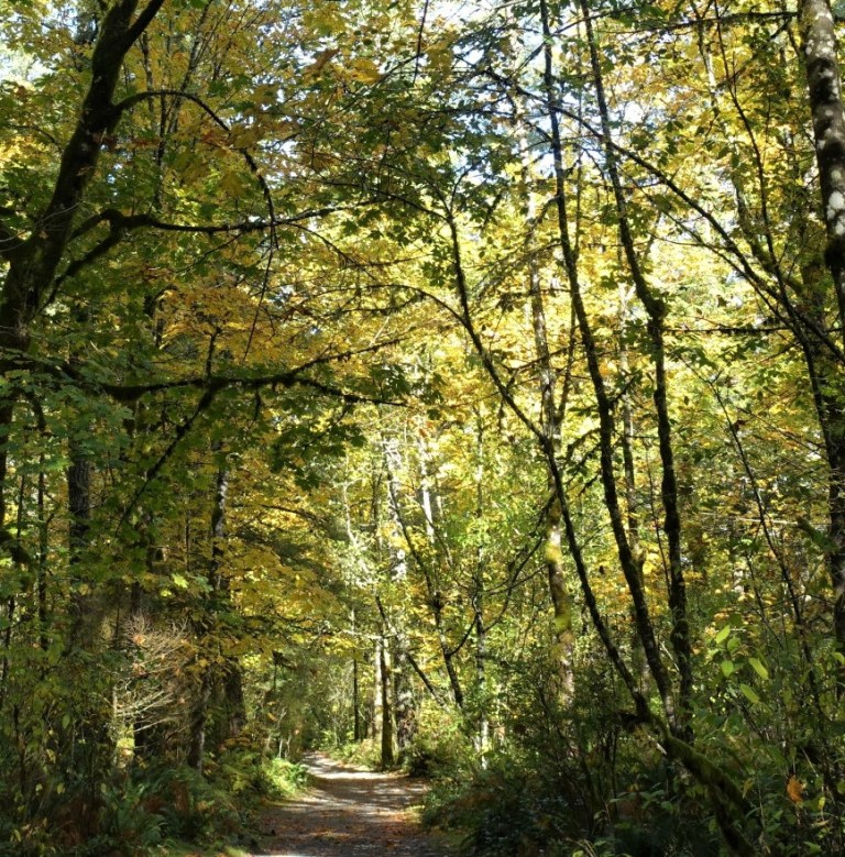 Nolte State Park in Color – Cats and Trails and Garden Tales