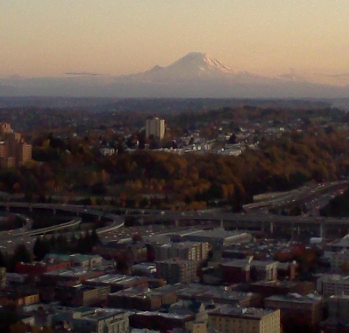 Gray and Red in Seattle – Cats and Trails and Garden Tales