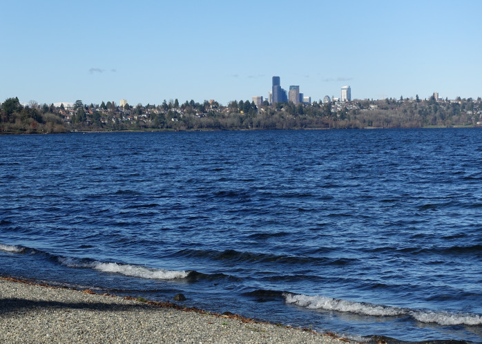 Sunny and Blue at Seward Park – Cats and Trails and Garden Tales