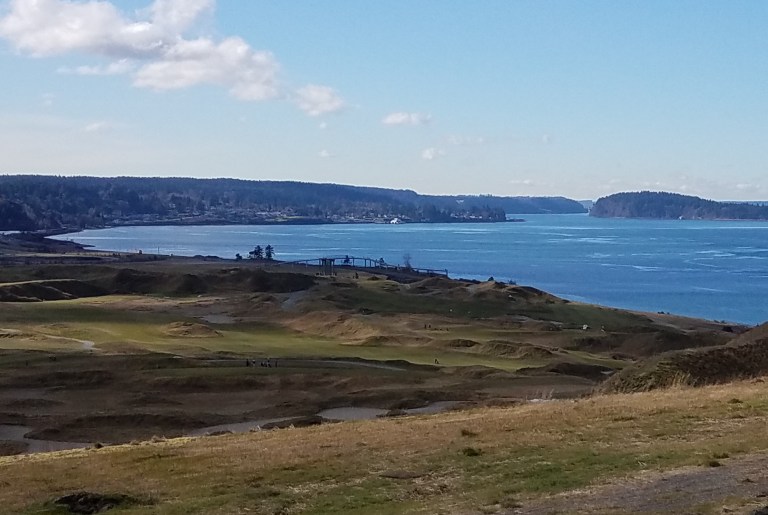 Discovering Chambers Bay – Cats and Trails and Garden Tales