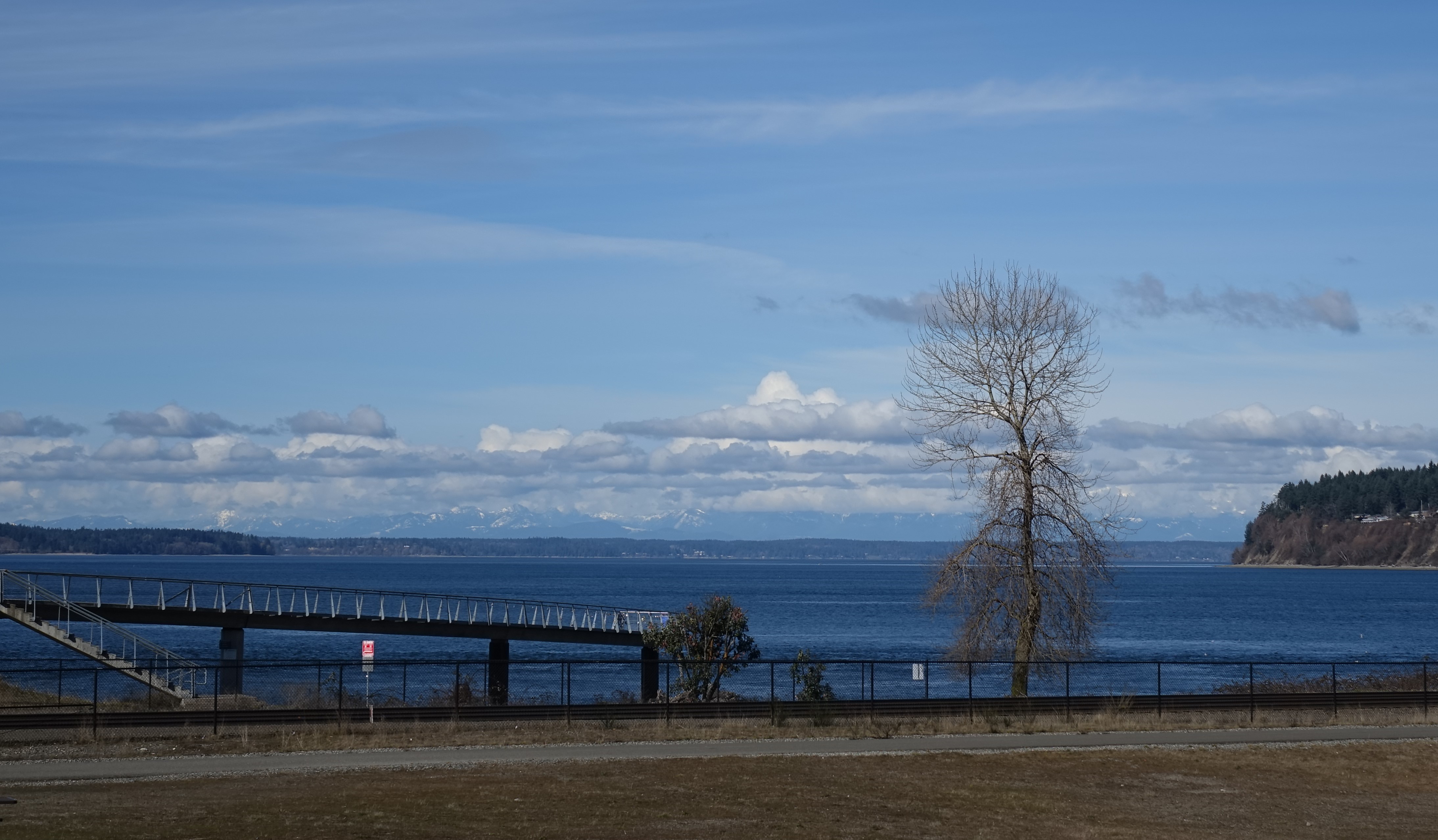 Discovering Chambers Bay – Cats and Trails and Garden Tales