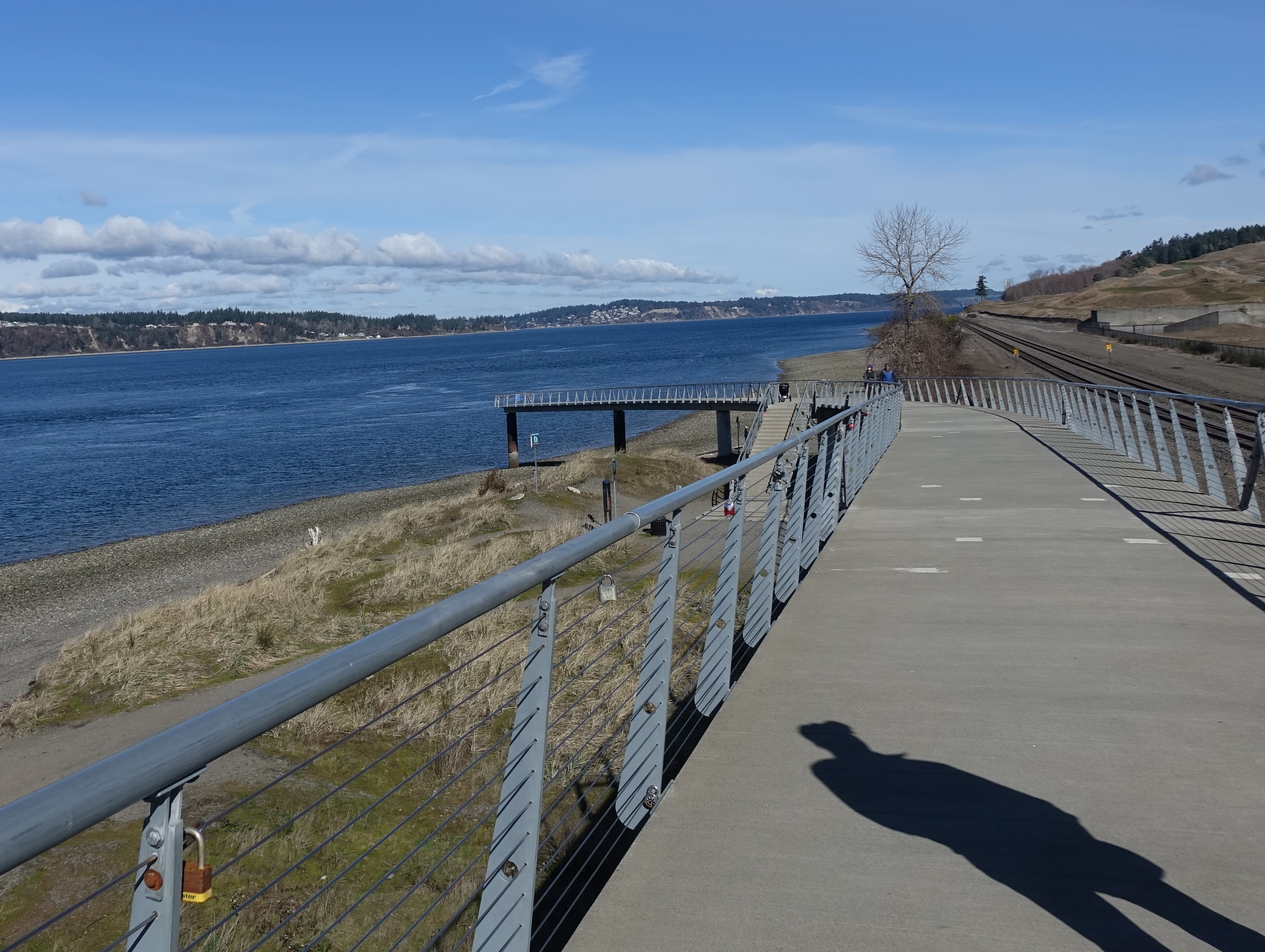 Discovering Chambers Bay – Cats and Trails and Garden Tales