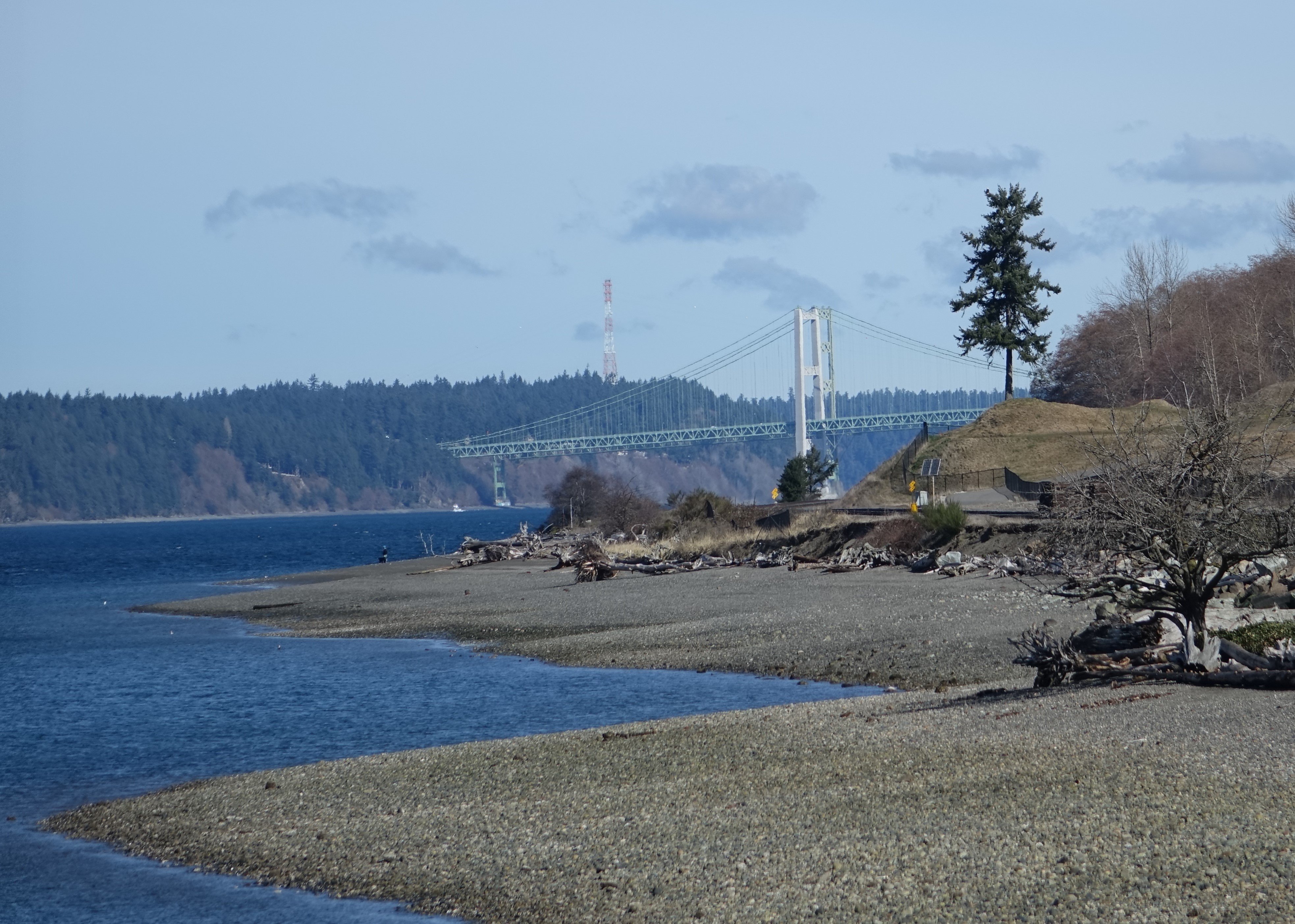 Discovering Chambers Bay – Cats and Trails and Garden Tales