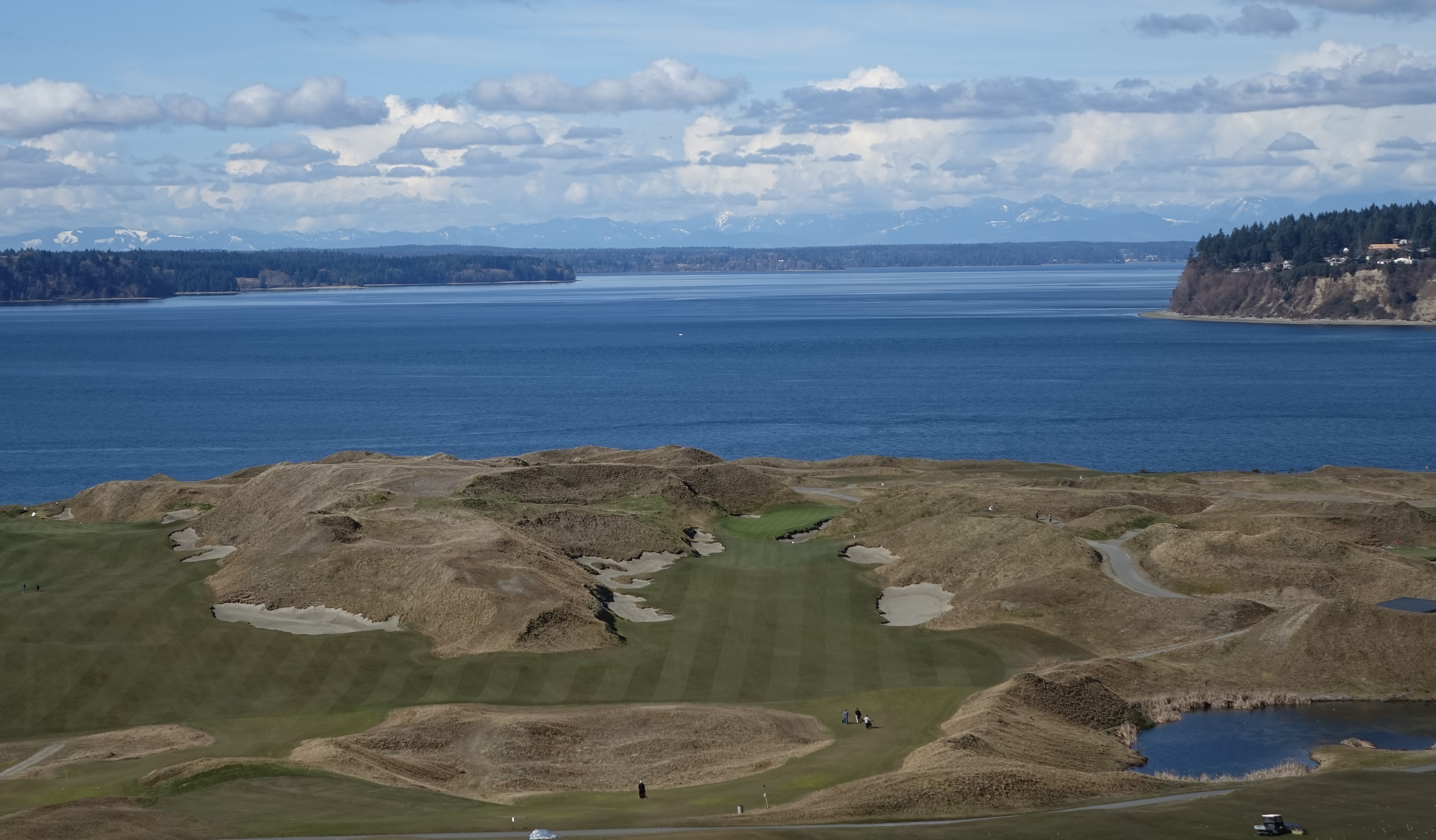 Discovering Chambers Bay – Cats and Trails and Garden Tales