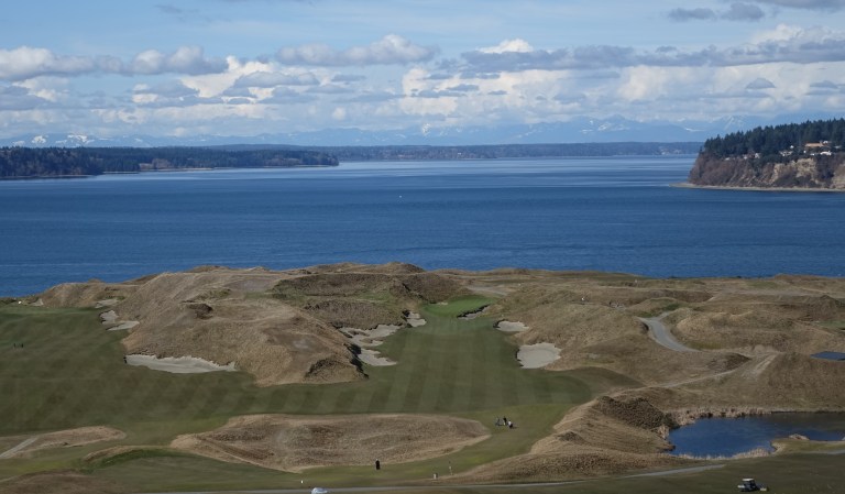 Discovering Chambers Bay – Cats and Trails and Garden Tales