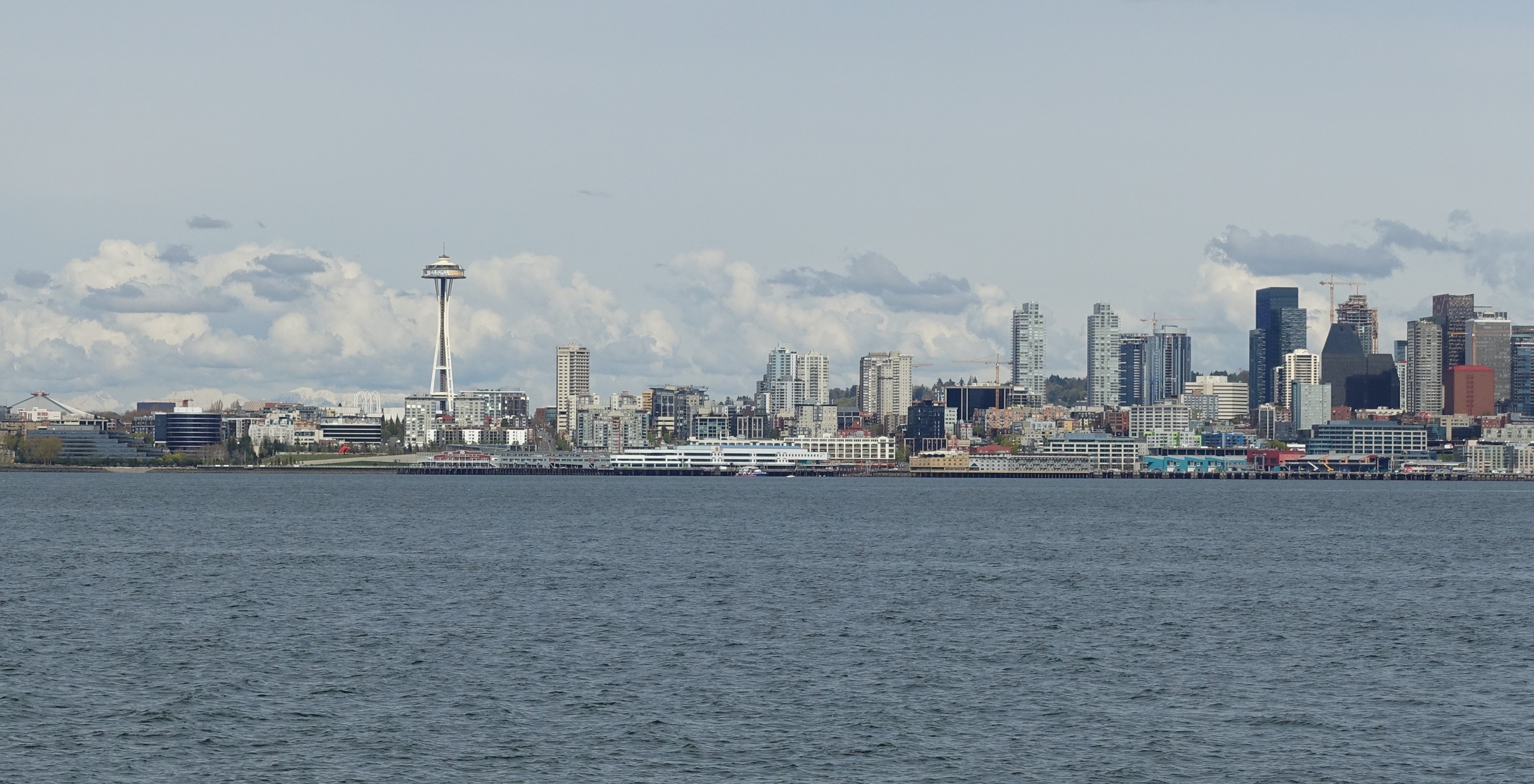 Springtime in Seattle – Cats and Trails and Garden Tales