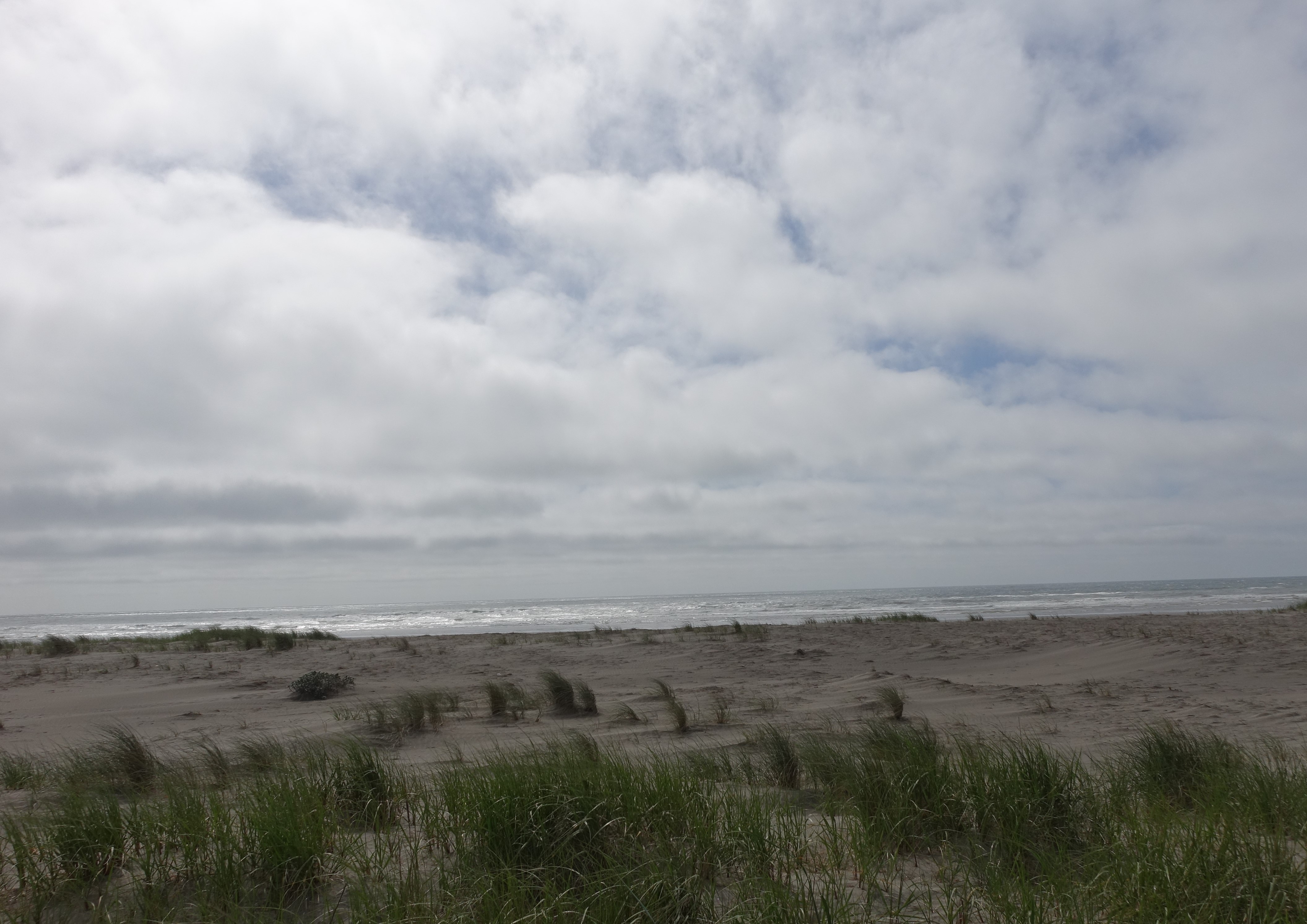 The Colors and Solitude of Long Beach – Cats and Trails and Garden Tales