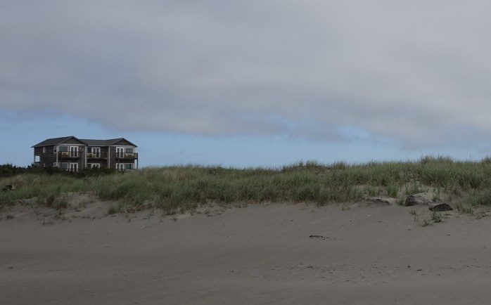 The Colors and Solitude of Long Beach – Cats and Trails and Garden Tales