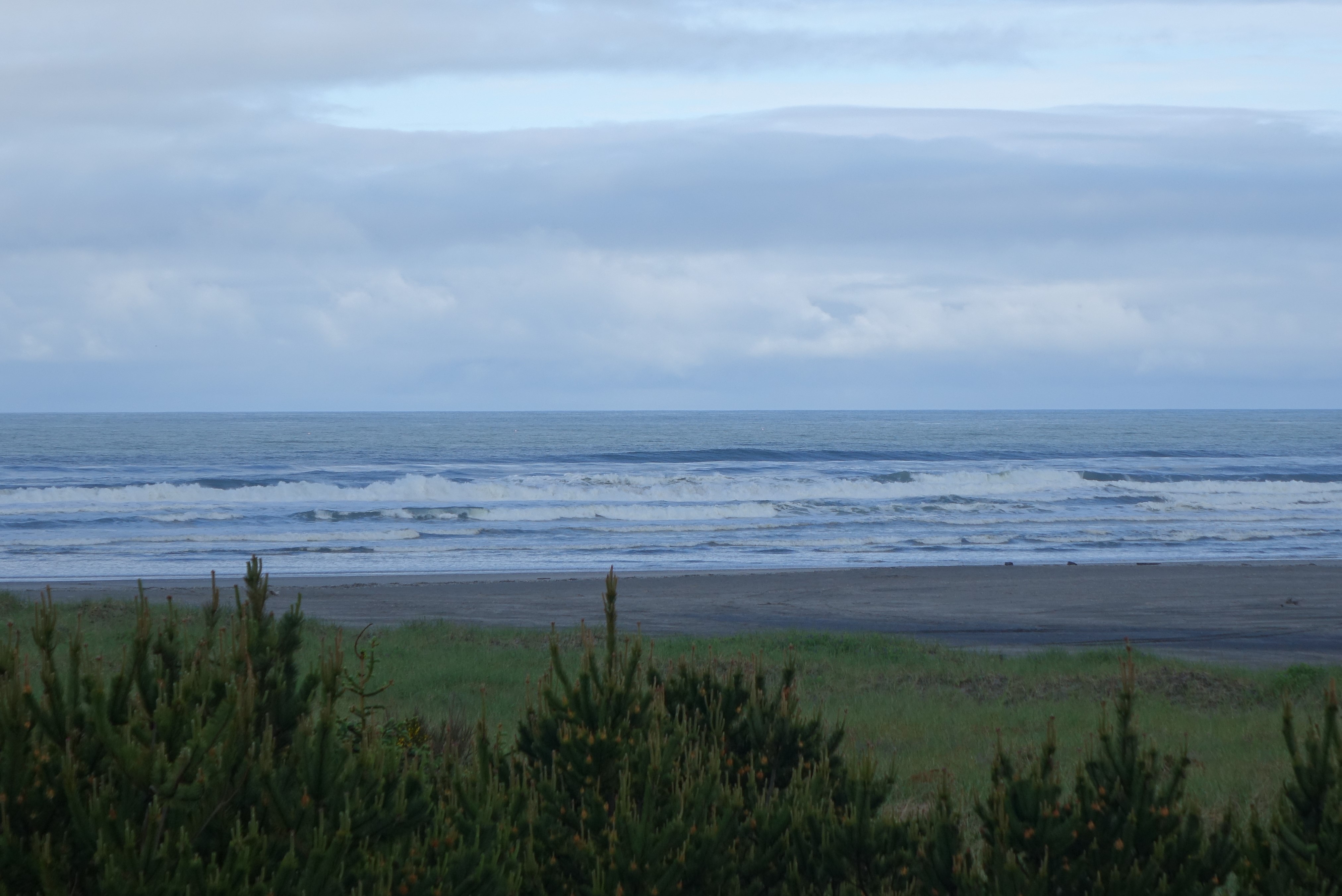 The Colors and Solitude of Long Beach – Cats and Trails and Garden Tales