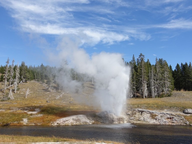 Buffalo, Hot Springs, and Geysers O My! – Cats and Trails and Garden Tales