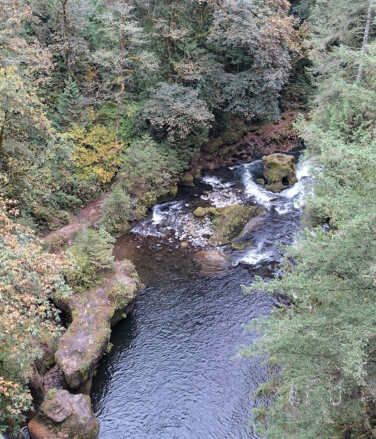 Green River Gorge and a Walk through Nolte State Park – Cats and Trails ...