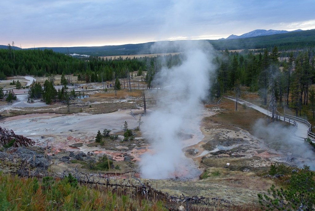 More Wonders of Yellowstone – Cats and Trails and Garden Tales