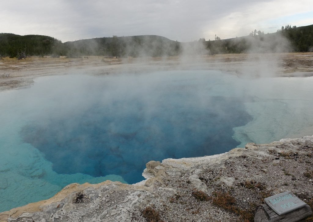 More Wonders of Yellowstone – Cats and Trails and Garden Tales