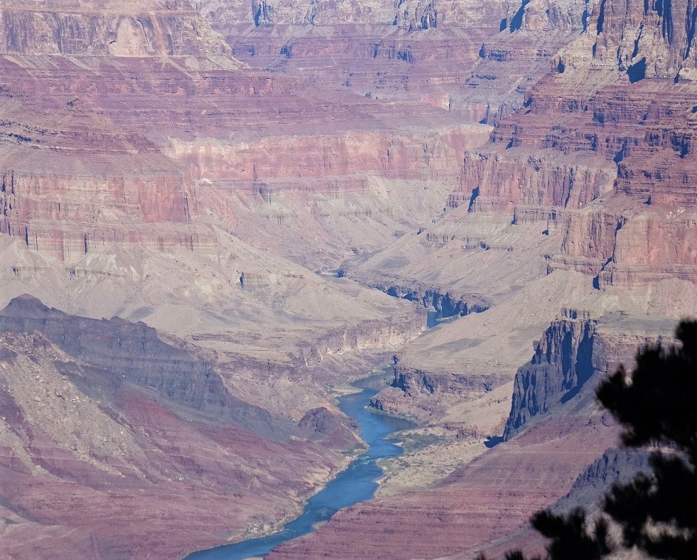 The Earth in Layers at the Grand Canyon – Cats and Trails and Garden Tales