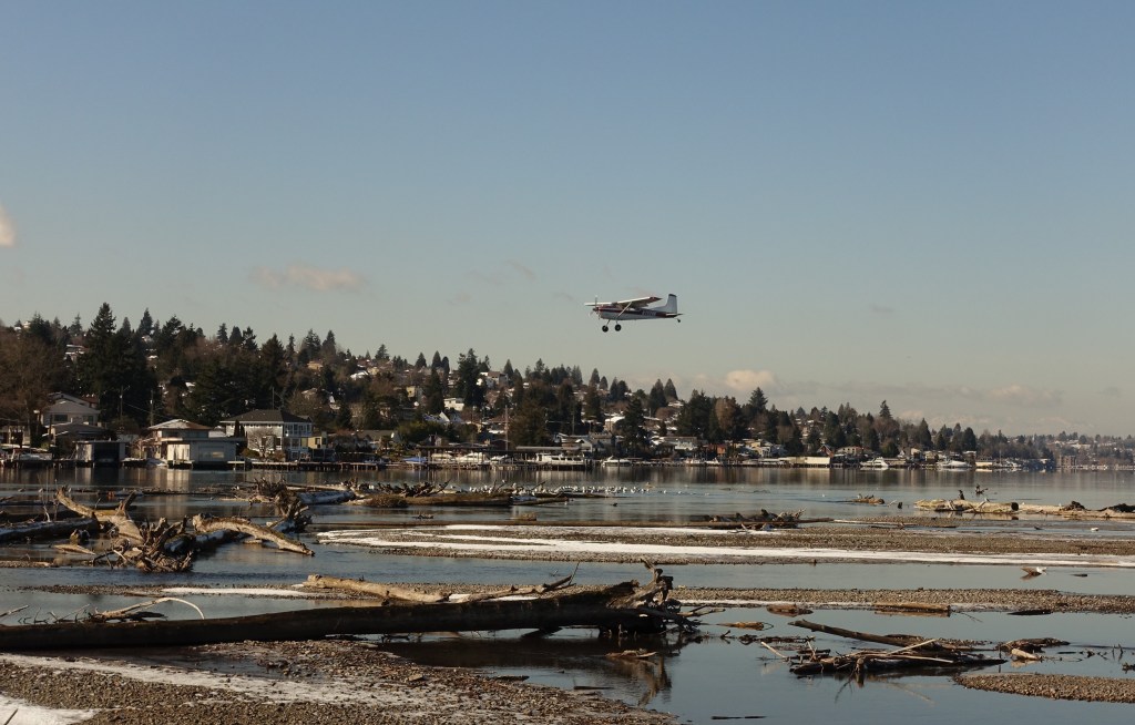 Cedar River Walk and Some History – Cats and Trails and Garden Tales