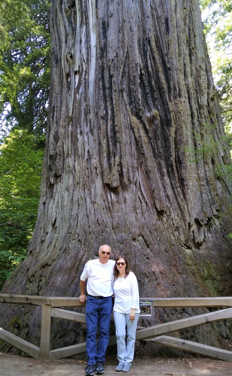 These are a Few of My Favorite Trees – Cats and Trails and Garden Tales