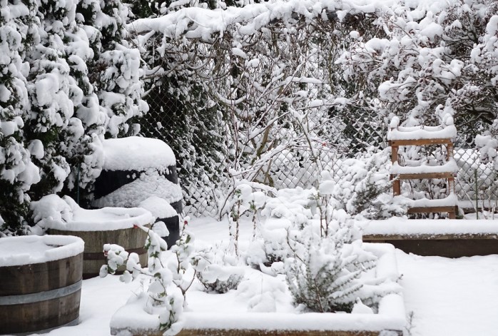 Snow Day in the Garden – Cats and Trails and Garden Tales