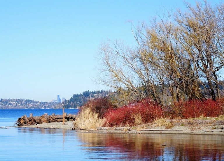 A Walk at Coulon Park on the Last Day of Winter – Cats and Trails and ...