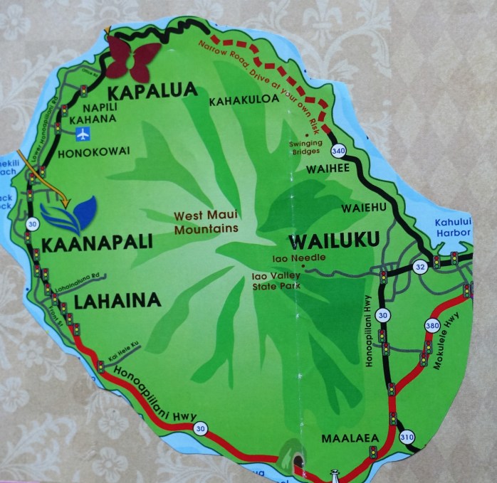 A ‘Wow’ Road Trip on Maui – Cats and Trails and Garden Tales