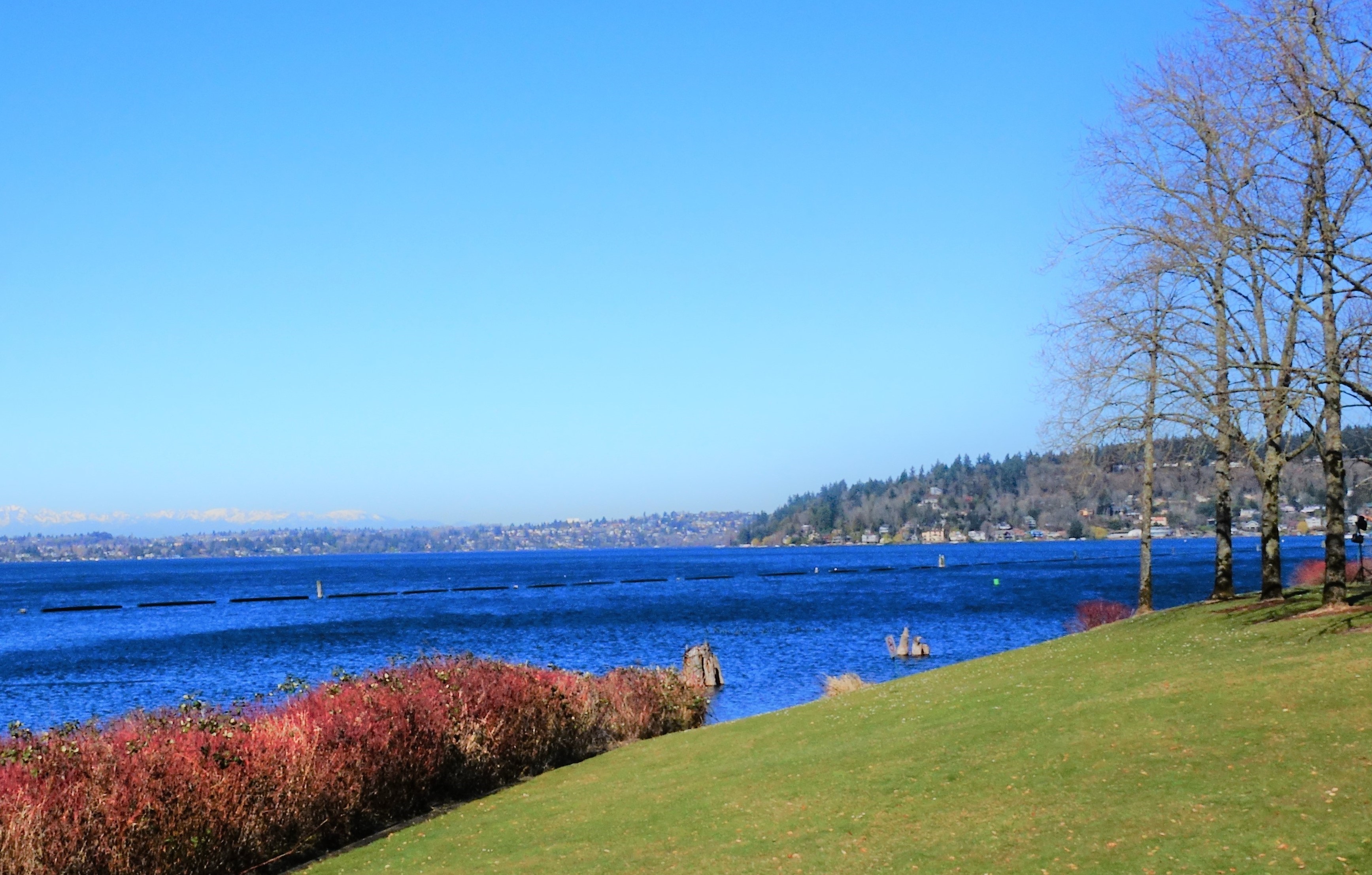 A Walk at Coulon Park on the Last Day of Winter – Cats and Trails and ...