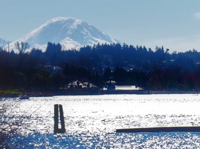 A Walk at Coulon Park on the Last Day of Winter – Cats and Trails and ...