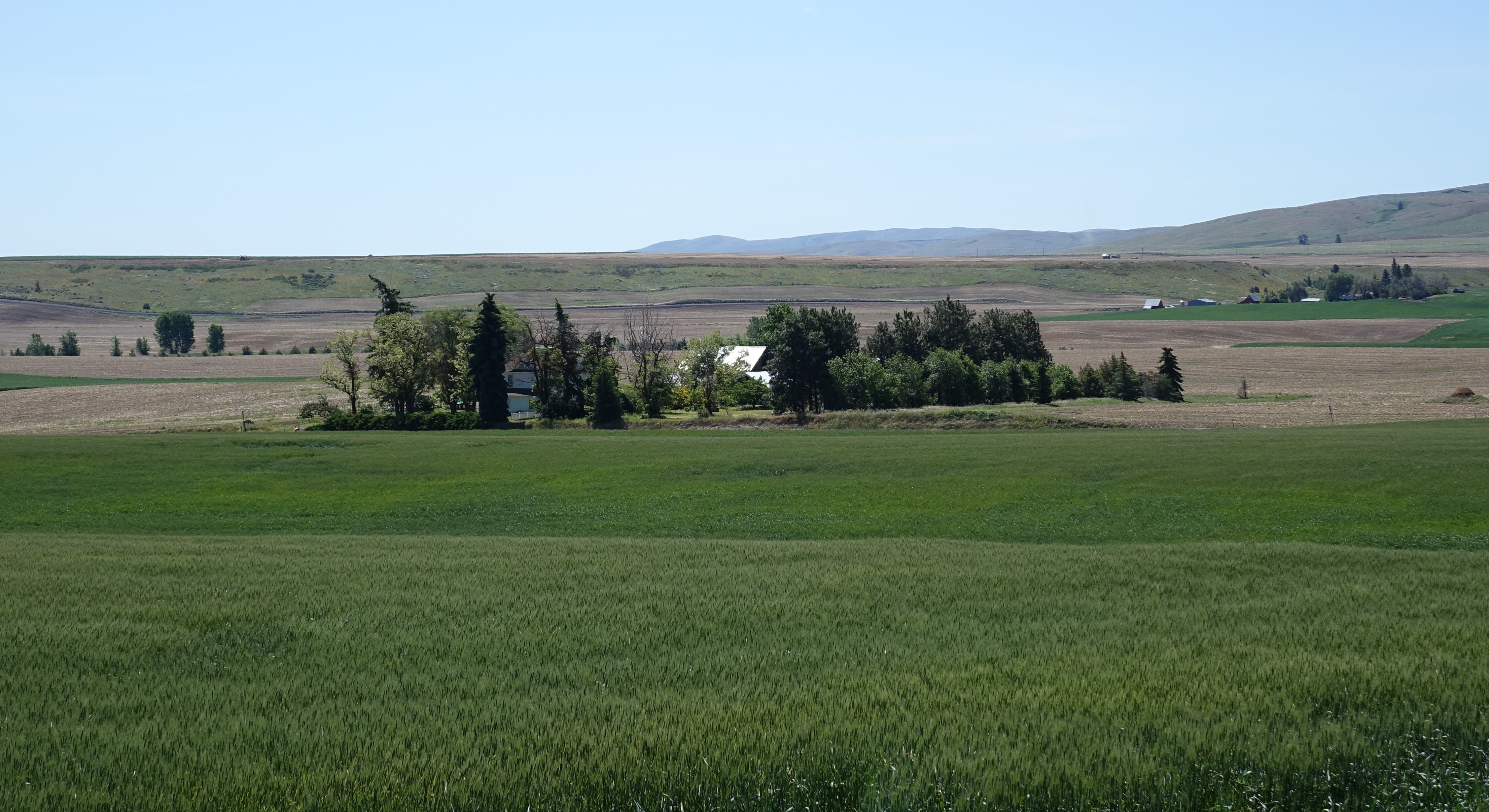A Trip Through Grand Coulee Country – Cats and Trails and Garden Tales