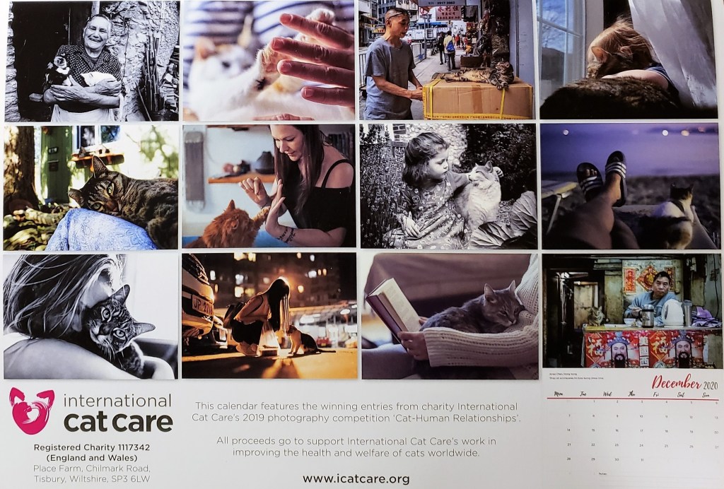Hooray! I Finally Got my 2020 Cat Care Calendar! – Cats and Trails and ...