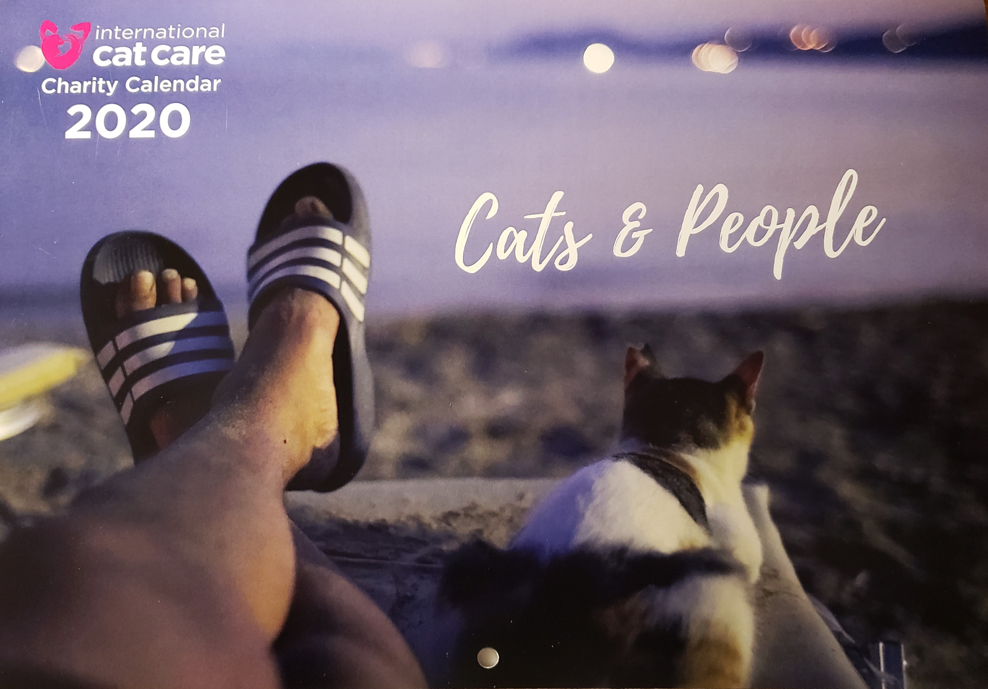 Hooray! I Finally Got my 2020 Cat Care Calendar! – Cats and Trails and ...