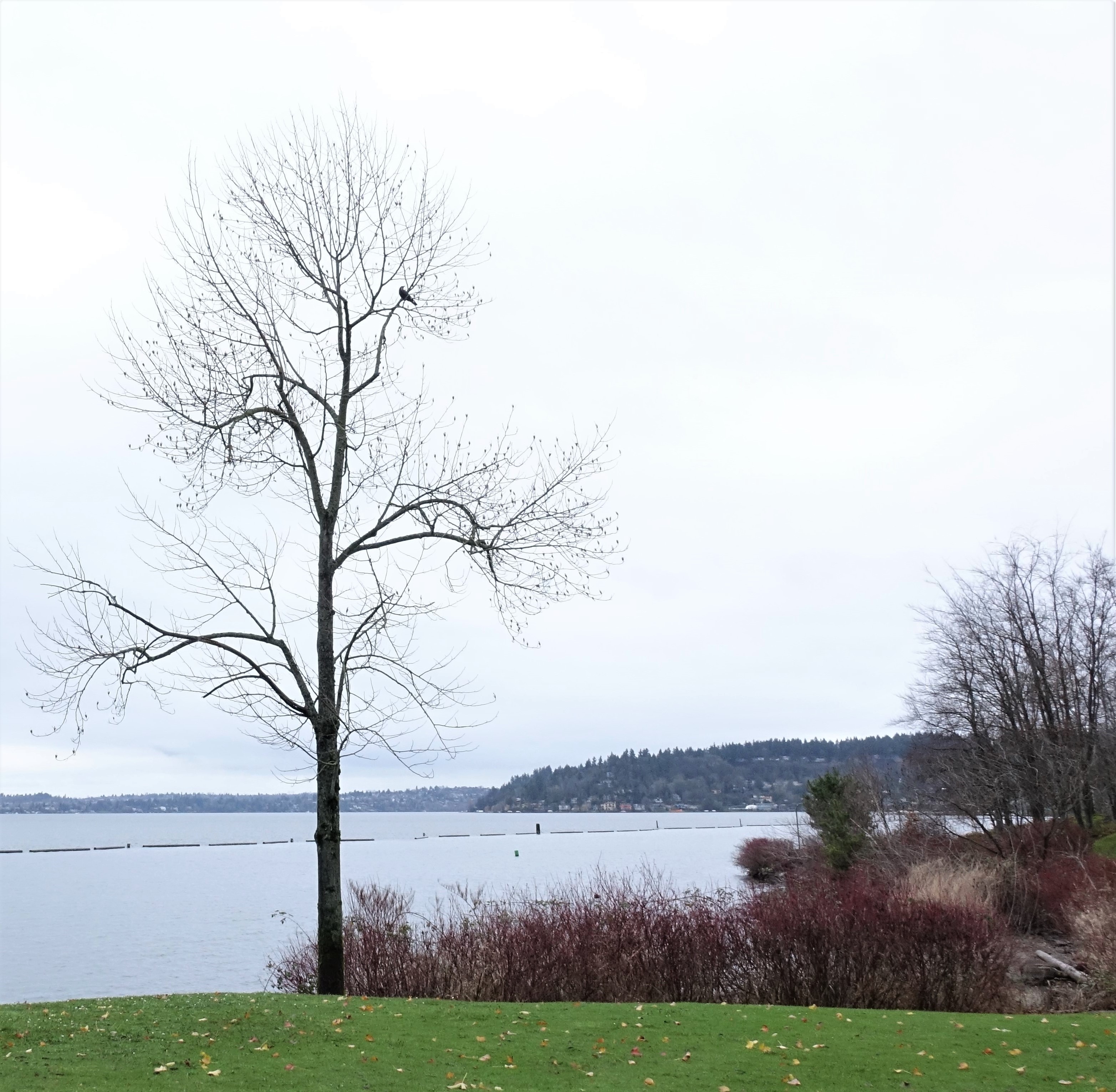 The Unexpected Joy of Getting Outside – Cats and Trails and Garden Tales