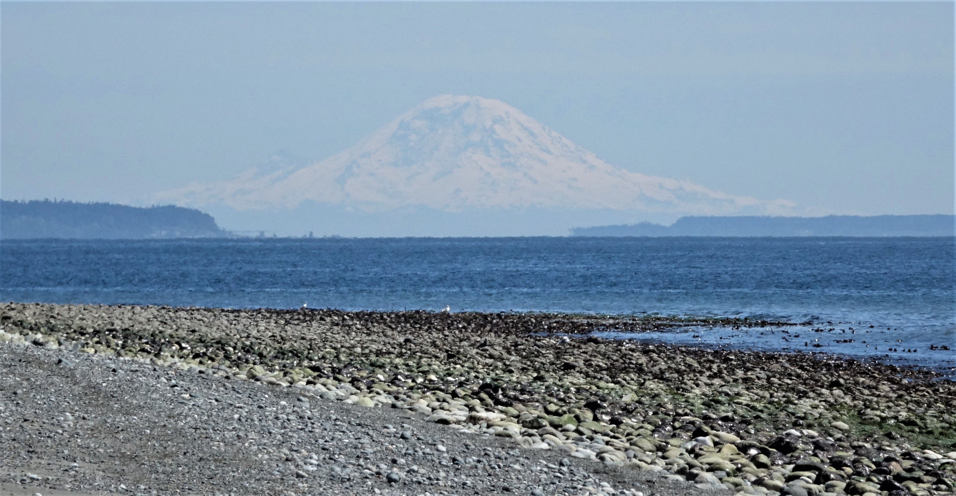 Ebey’s Landing on Whidbey Island – Cats and Trails and Garden Tales