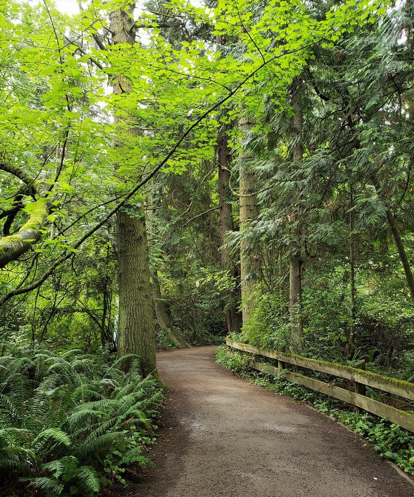 A Walk to Dungeness Spit – Cats and Trails and Garden Tales