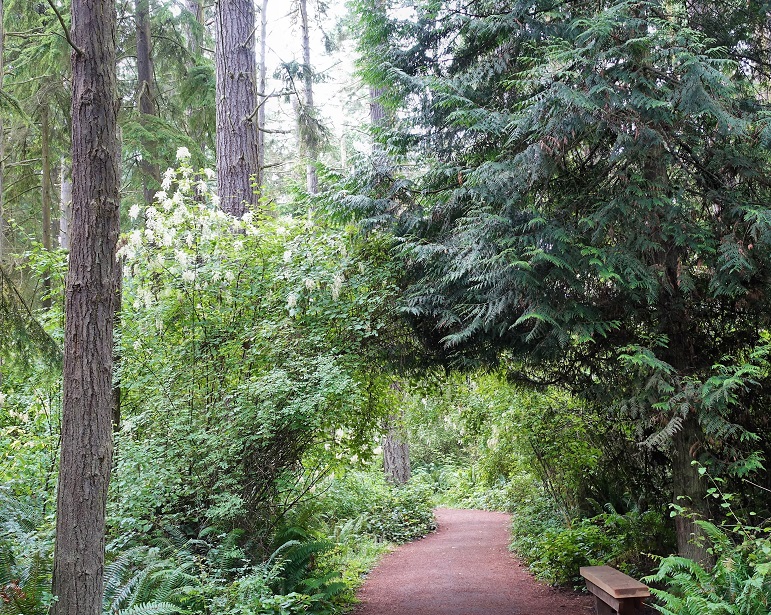 A Walk to Dungeness Spit – Cats and Trails and Garden Tales