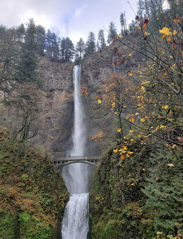 The Best of Multnomah Falls – Cats and Trails and Garden Tales