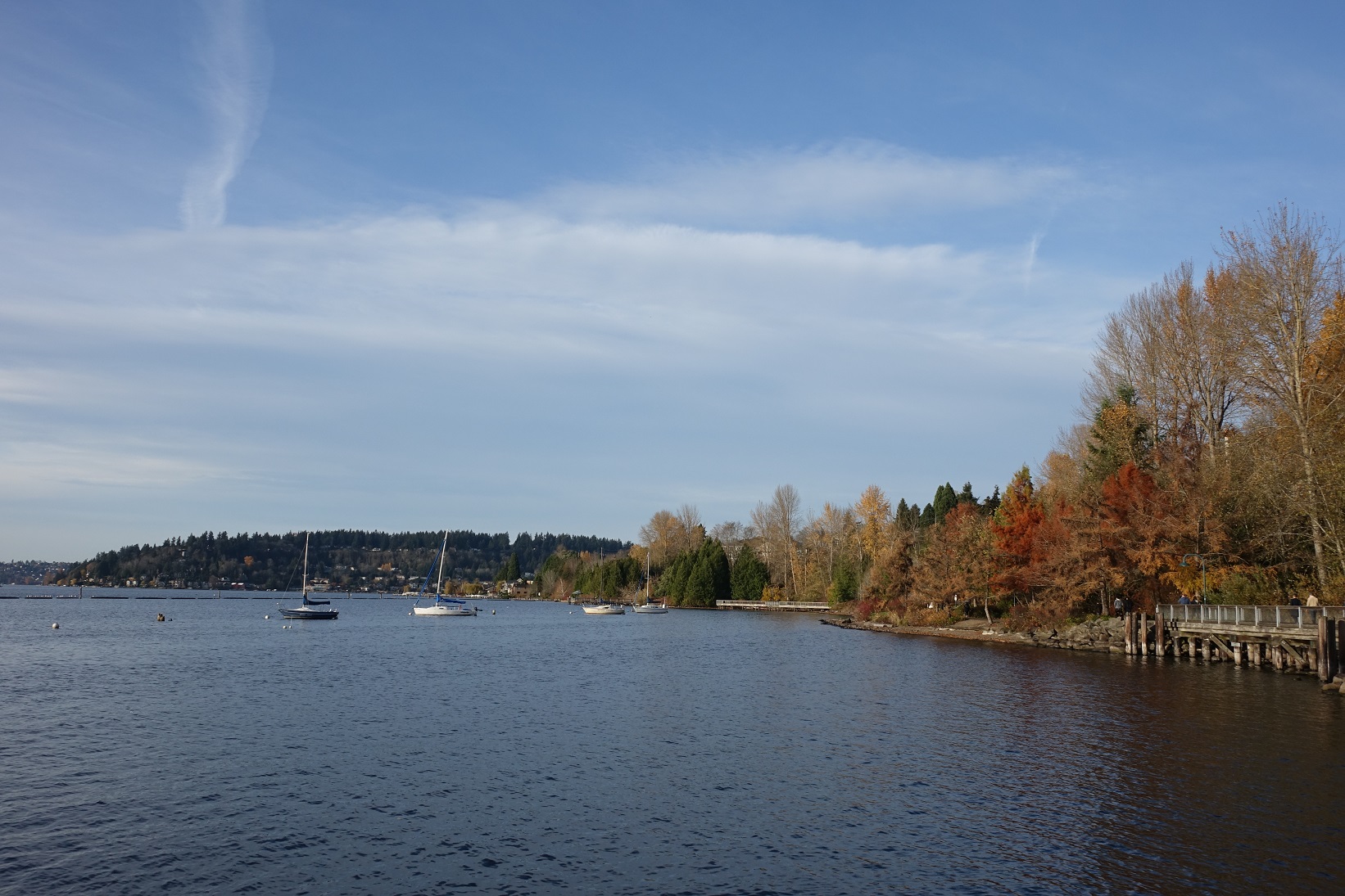 Colorful Coulon Walk and a Cloud – Cats and Trails and Garden Tales