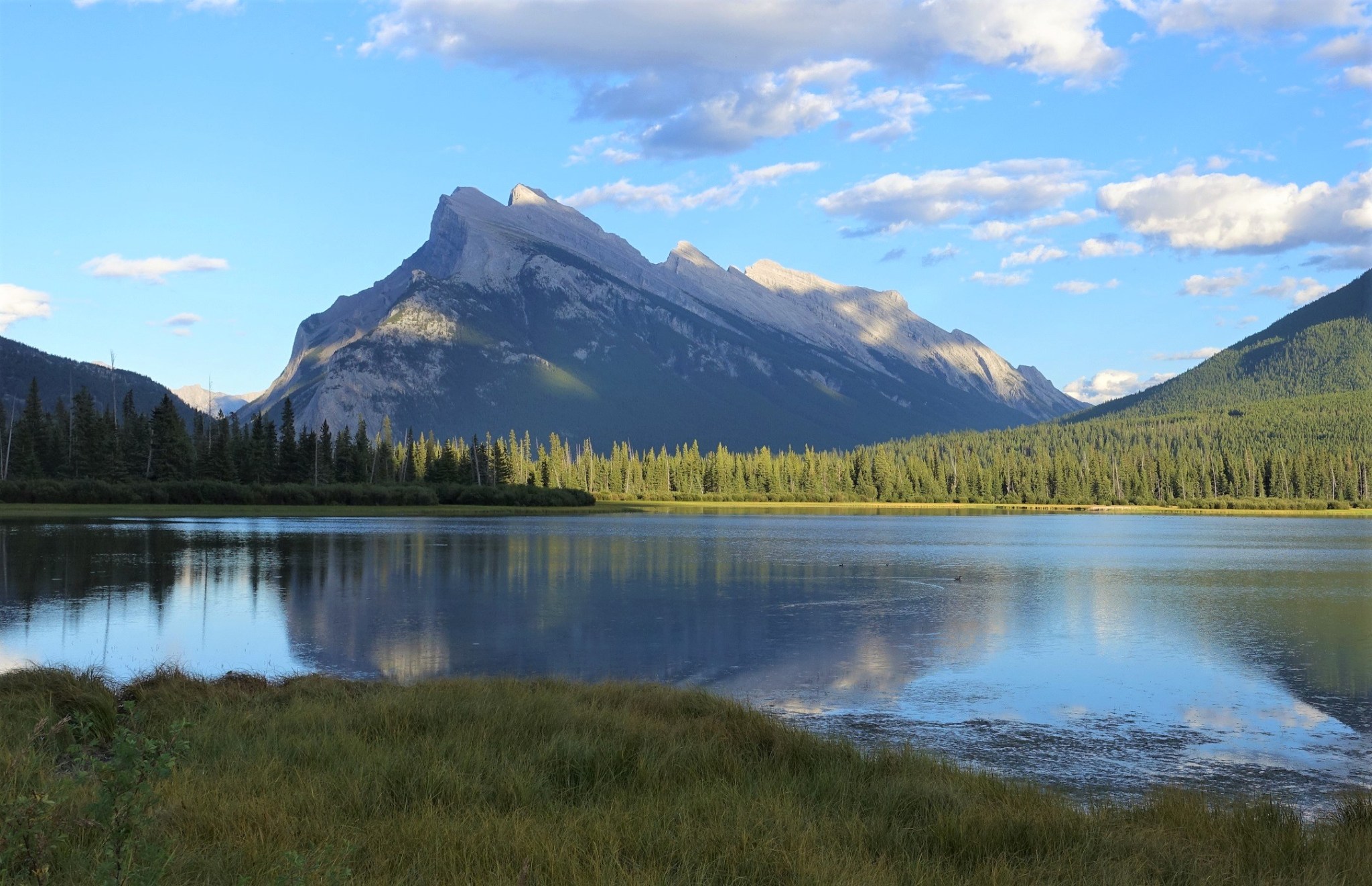 Incredible Landscape of the Canadian Rockies – Cats and Trails and ...