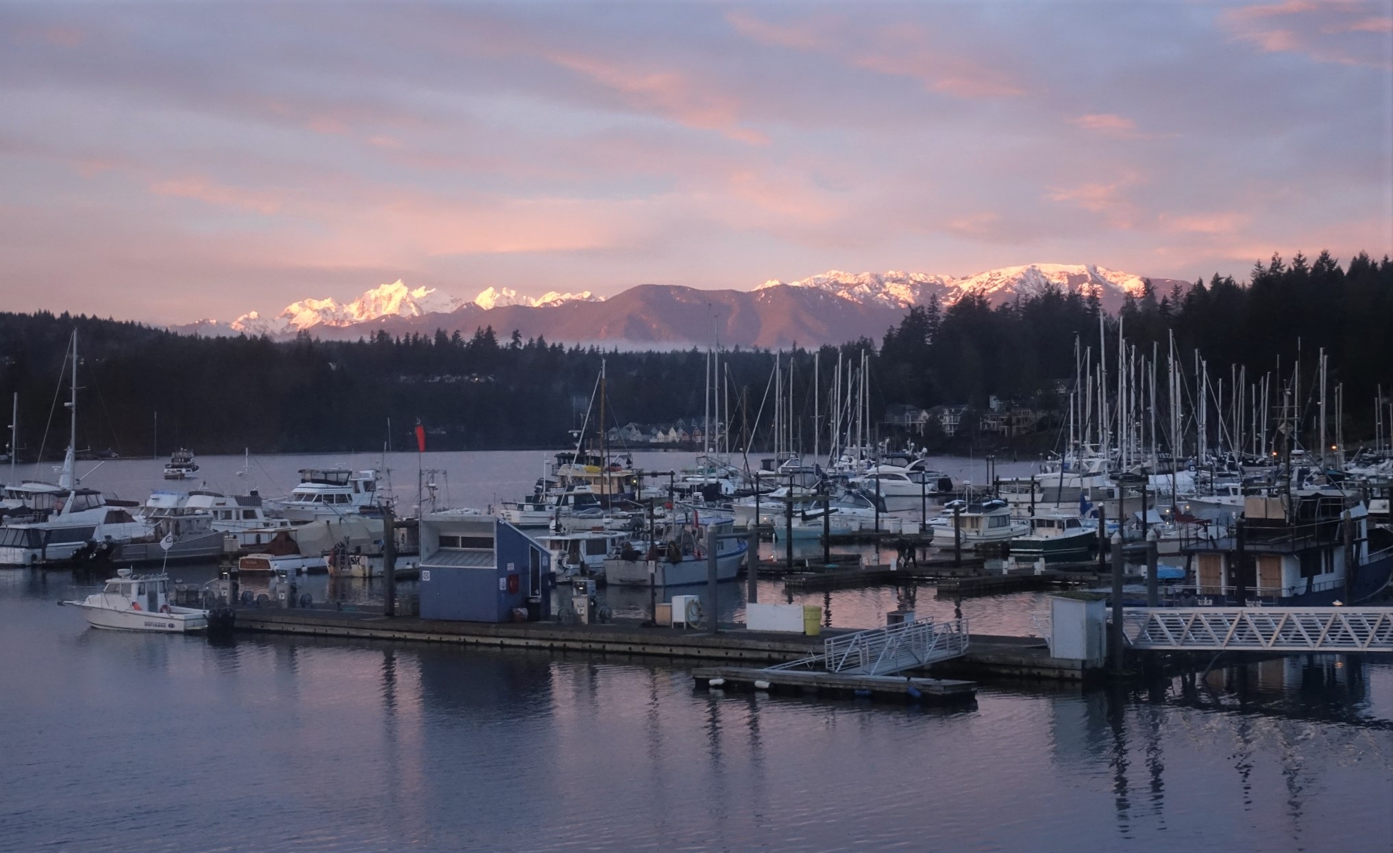 Sunset in Pink – Cats and Trails and Garden Tales