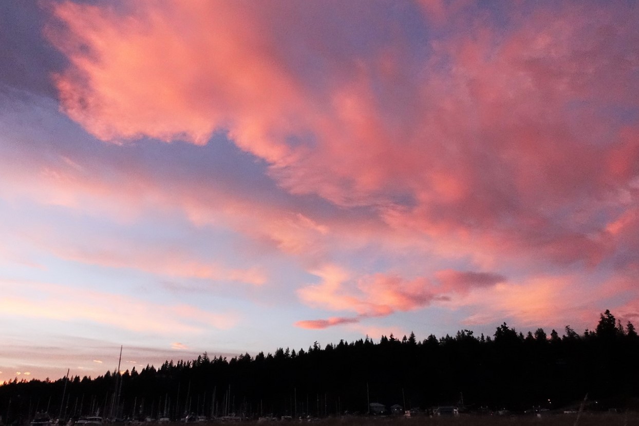 Sunset in Pink – Cats and Trails and Garden Tales