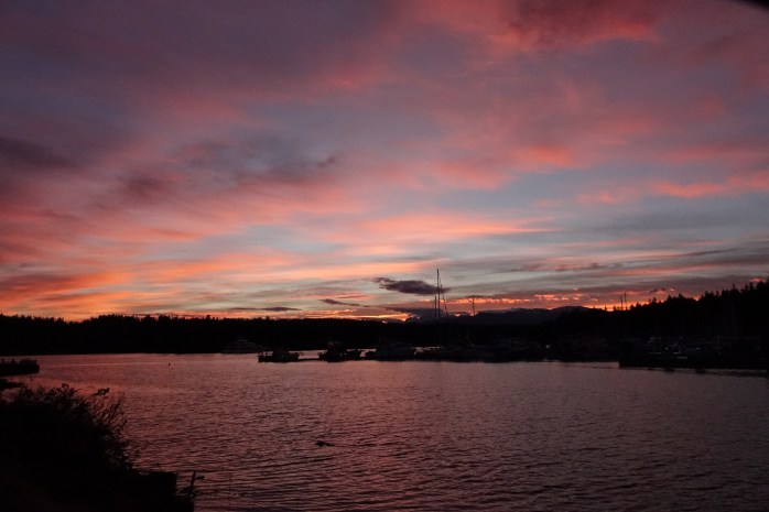 Sunset in Pink – Cats and Trails and Garden Tales