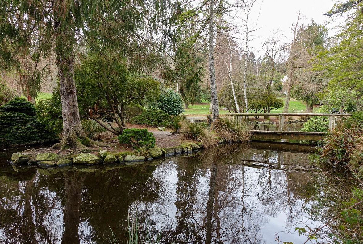 Me and My Sony at Point Defiance! – Cats and Trails and Garden Tales