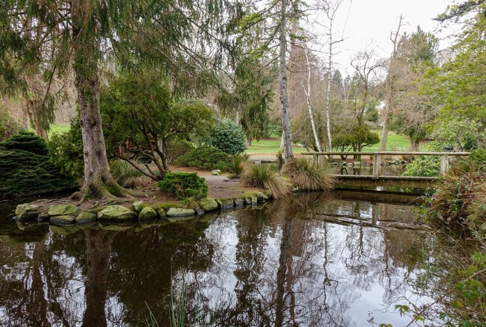 Me and My Sony at Point Defiance! – Cats and Trails and Garden Tales