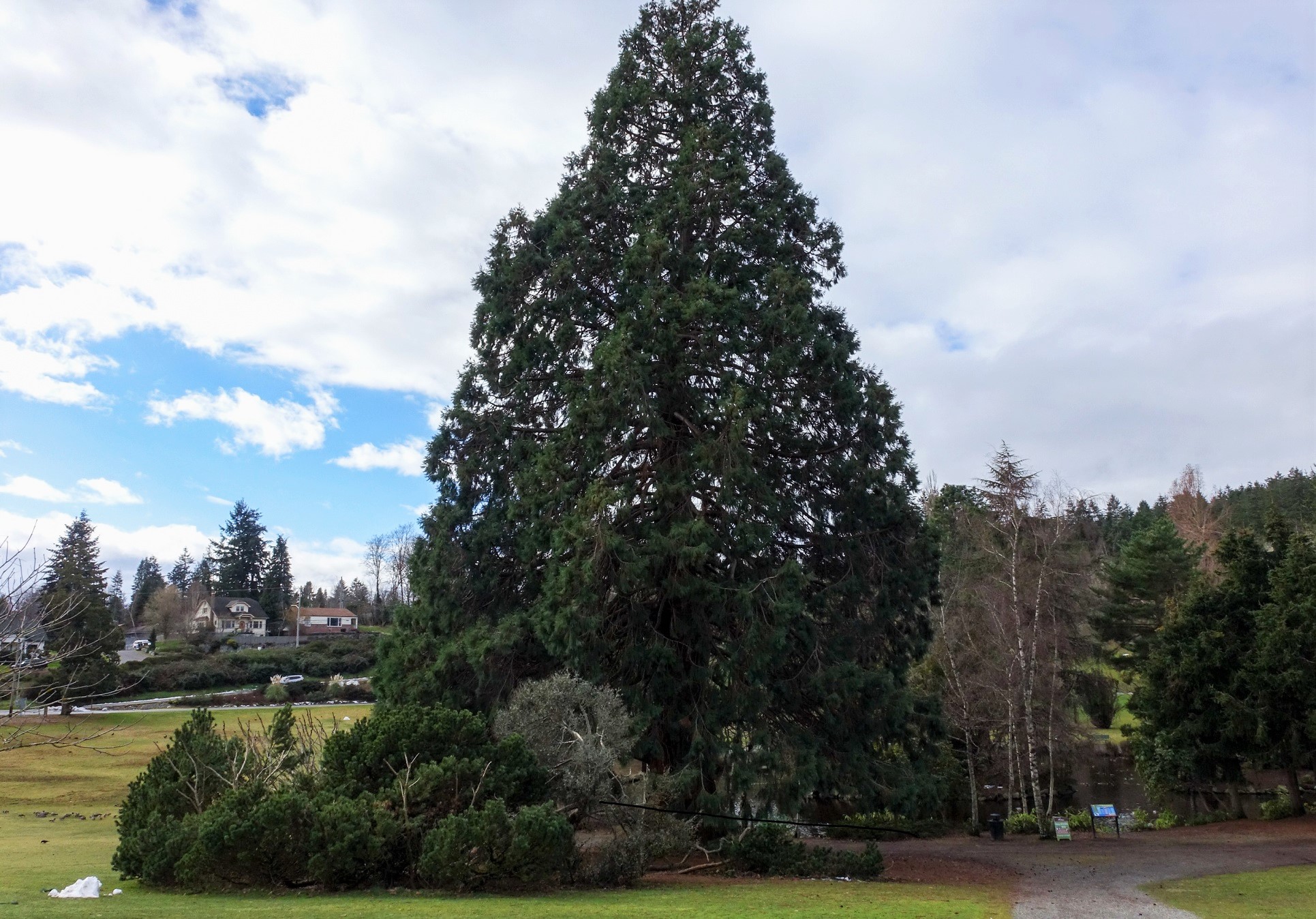 Me and My Sony at Point Defiance! – Cats and Trails and Garden Tales