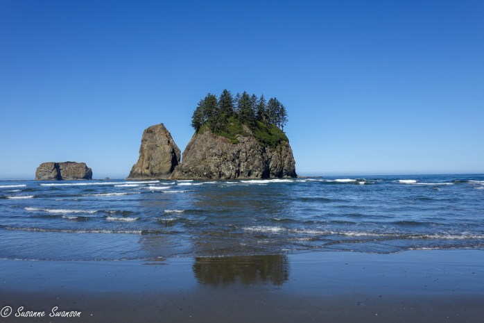 Hike to Magnificent Second Beach – Cats and Trails and Garden Tales