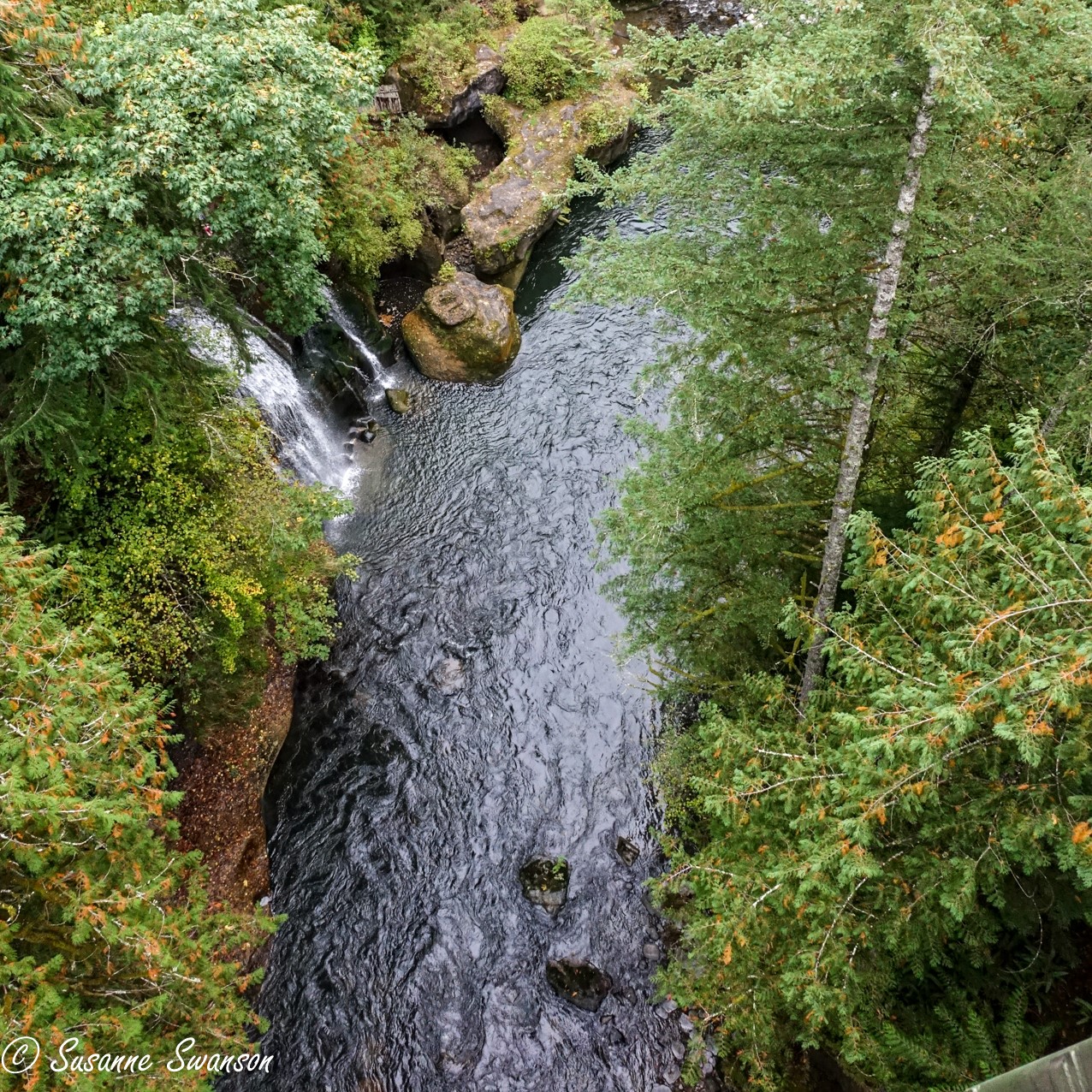 Perspective on the Green River Gorge – Cats and Trails and Garden Tales