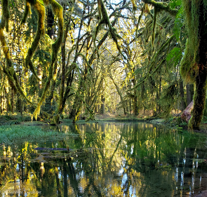 Top 10 Pacific Northwest – Cats and Trails and Garden Tales
