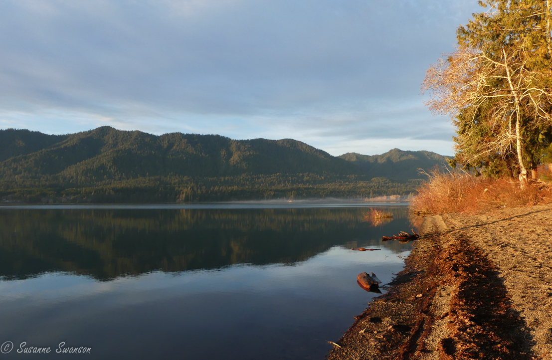 A Peaceful Lake and a Magical Walk in the Rainforest – At Lake Quinault ...