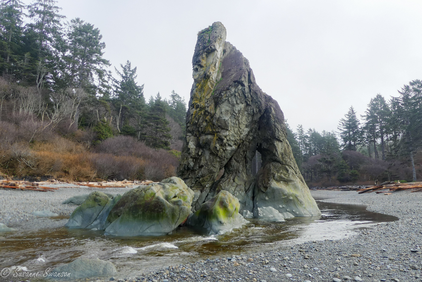 Enjoying the Elements at Magnificent Ruby Beach – Cats and Trails and ...
