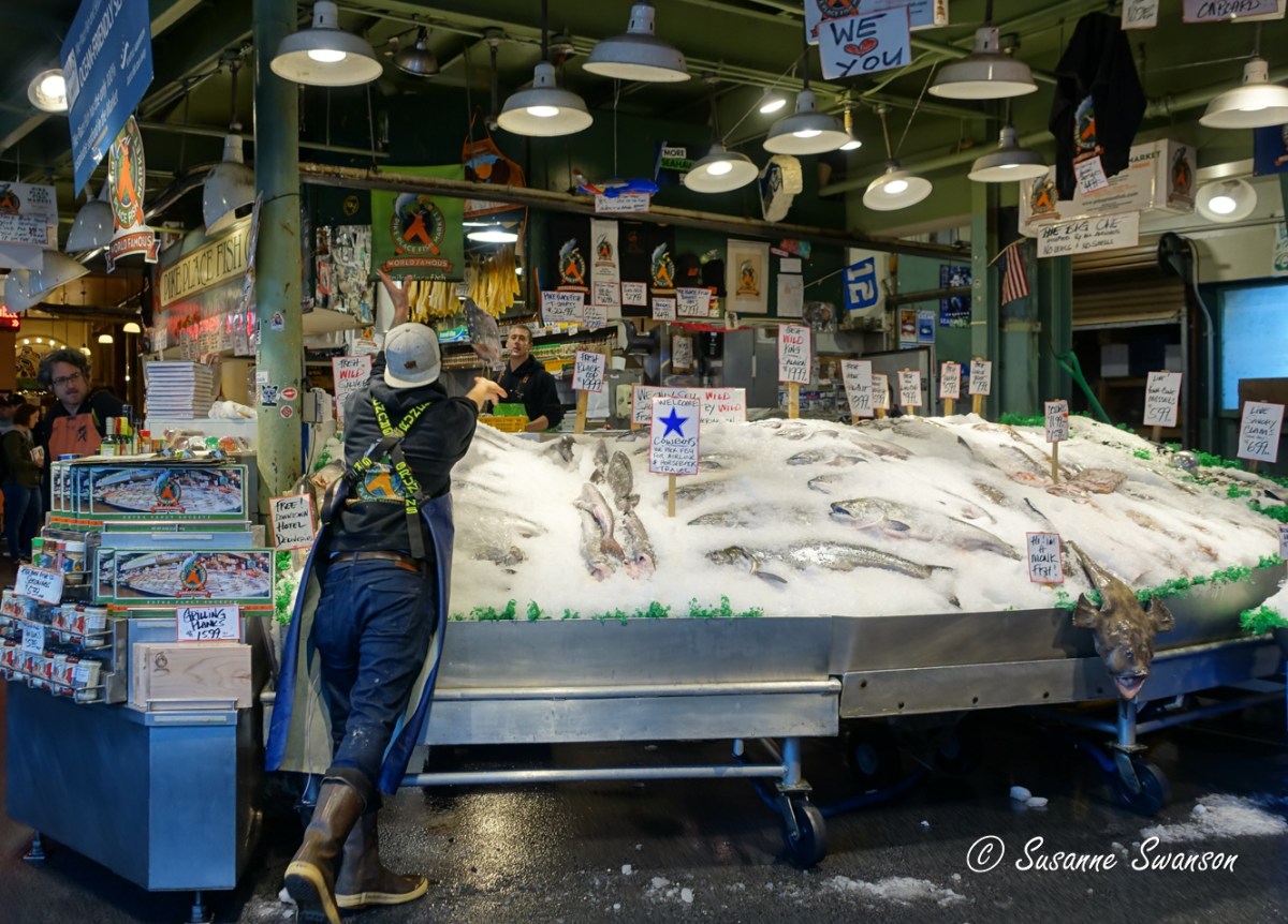 Memories from Seattle’s Pike Place Market and the Showbox – Cats and ...
